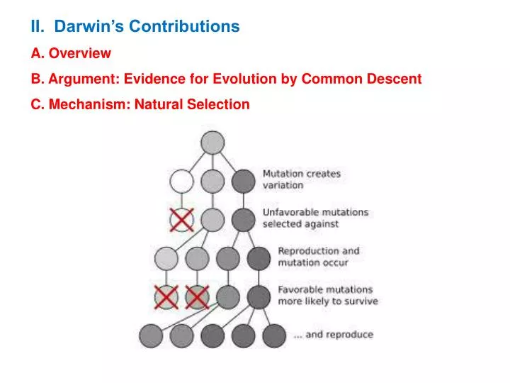 PPT - II. Darwin’s Contributions A. Overview B. Argument: Evidence for ...