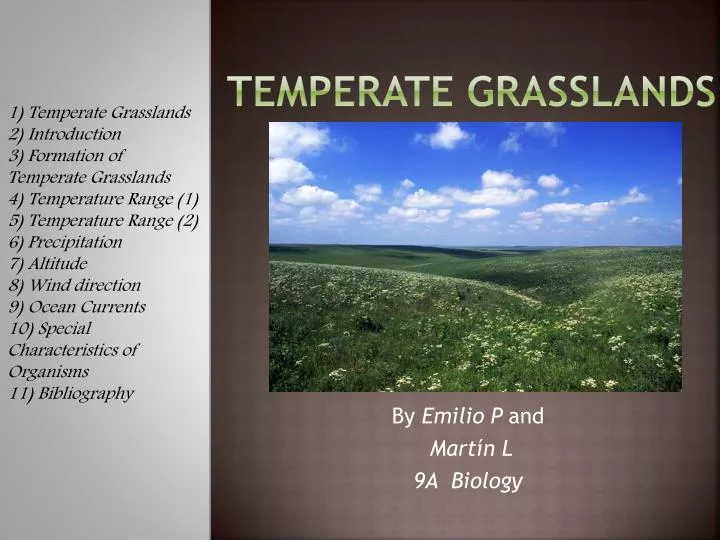 PPT - Temperate Grasslands PowerPoint Presentation, free download - ID:1357942