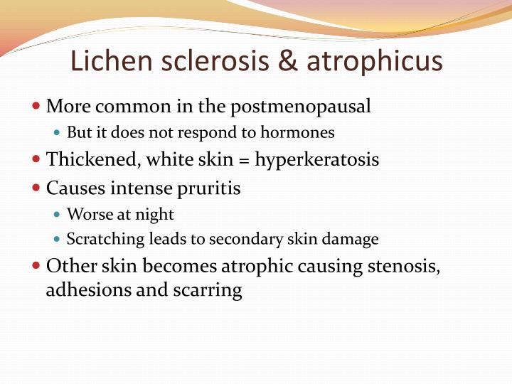 PPT - Vulval Skin Disorders PowerPoint Presentation - ID:1358135