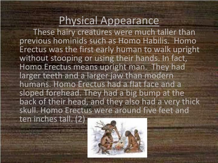 PPT - Homo Erectus PowerPoint Presentation - ID:1358764
