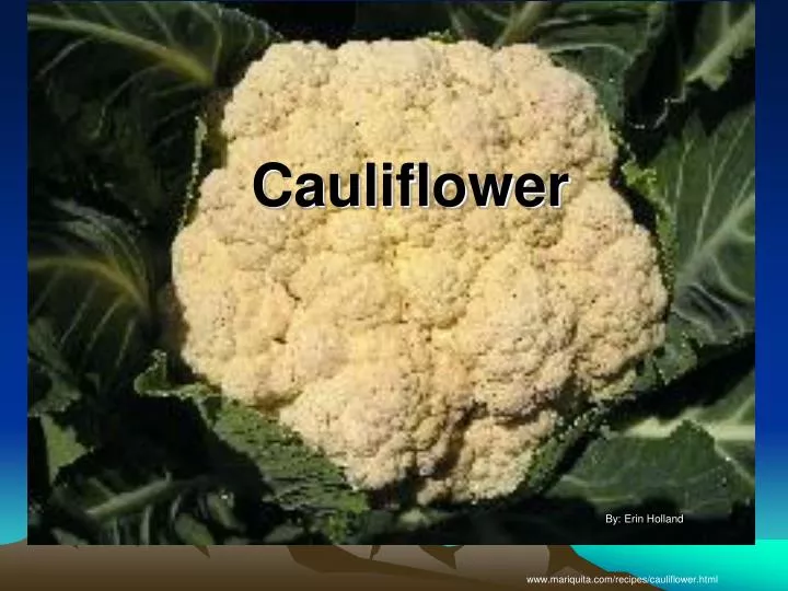 PPT - Cauliflower PowerPoint Presentation, free download - ID:1358887