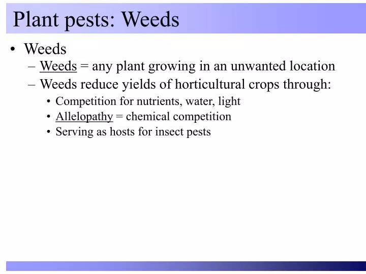 PPT - Plant pests: Weeds PowerPoint Presentation, free download - ID ... PPT - Plant pests: Weeds PowerPoint Presentation, free download - ID ...