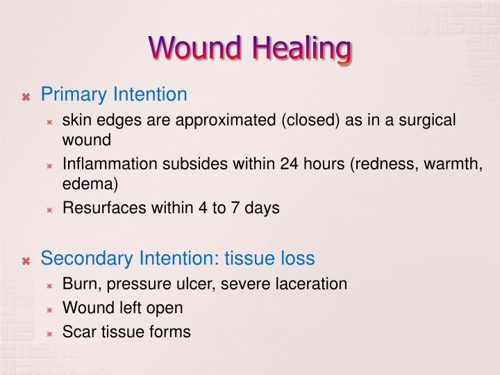 PPT - Wound Dressing & Artificial Skin PowerPoint Presentation - ID:1360807