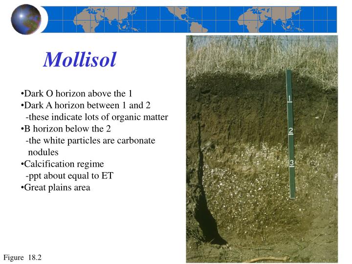PPT - Chapter 18 The Geography of Soils PowerPoint Presentation - ID ...