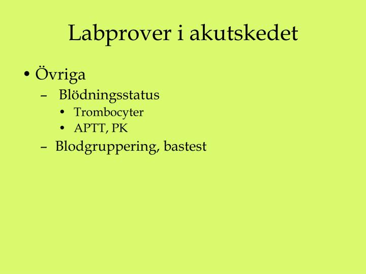PPT - Akut buk PowerPoint Presentation - ID:1362878