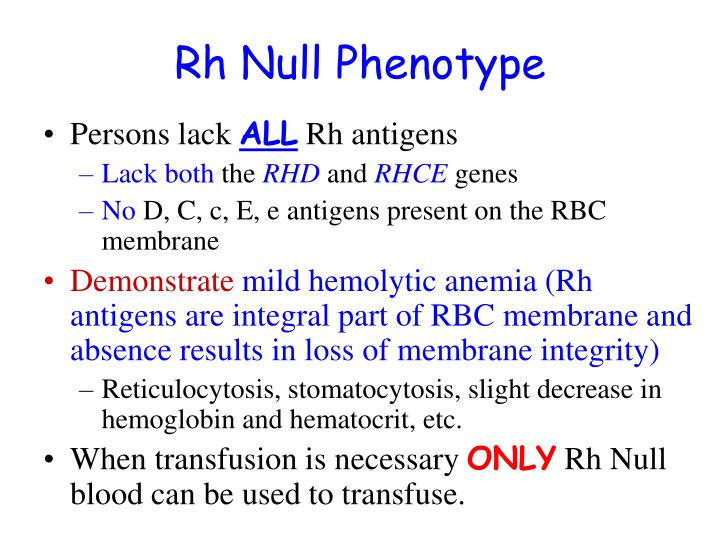 PPT - CLS 3311 Advanced Clinical Immunohematology PowerPoint ...
