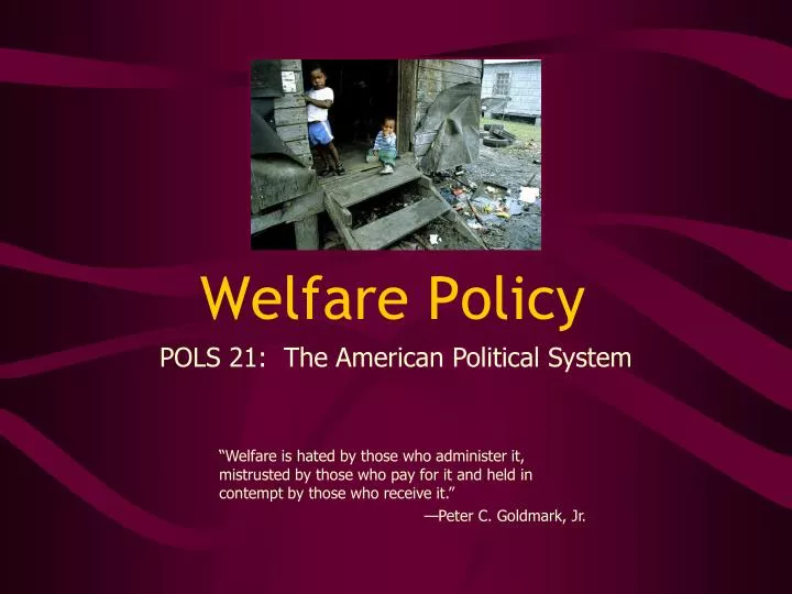 PPT - Welfare Policy PowerPoint Presentation, free download - ID:1363643