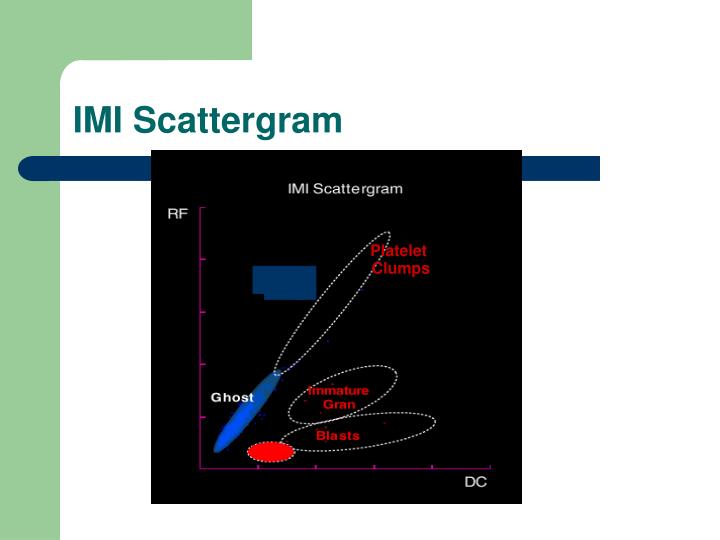 PPT - Sysmex XE-2100 PowerPoint Presentation - ID:1363808