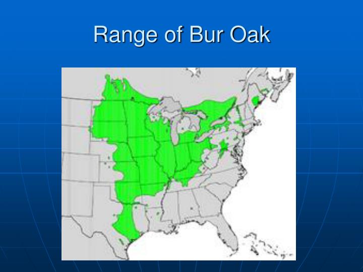 PPT - Biodiversity in Minnesota PowerPoint Presentation - ID:1364128