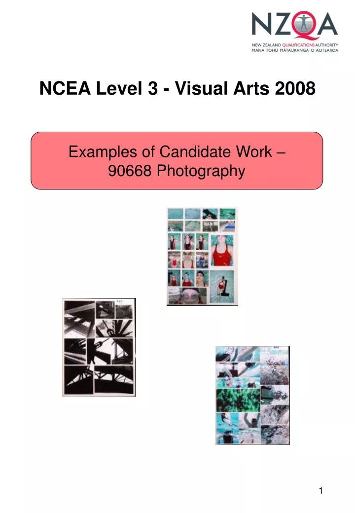 PPT - NCEA Level 3 - Visual Arts 2008 PowerPoint Presentation, free ...