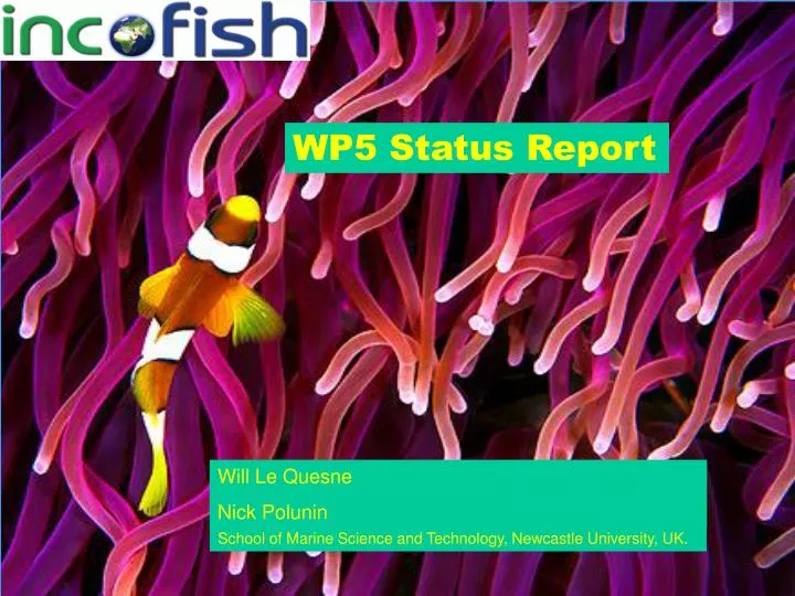 PPT - WP5 Status Report PowerPoint Presentation, free download - ID:1367366