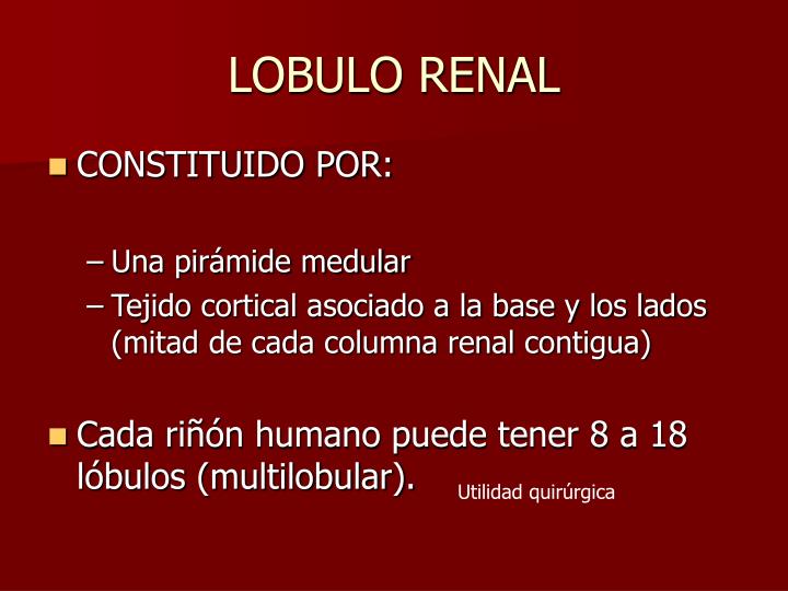 PPT - APARATO URINARIO PowerPoint Presentation - ID:1367497
