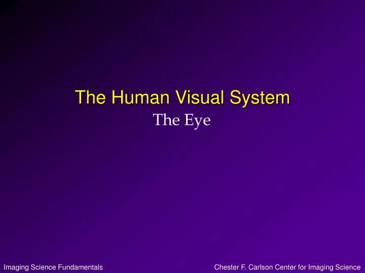 PPT - The Human Visual System PowerPoint Presentation, free download ...