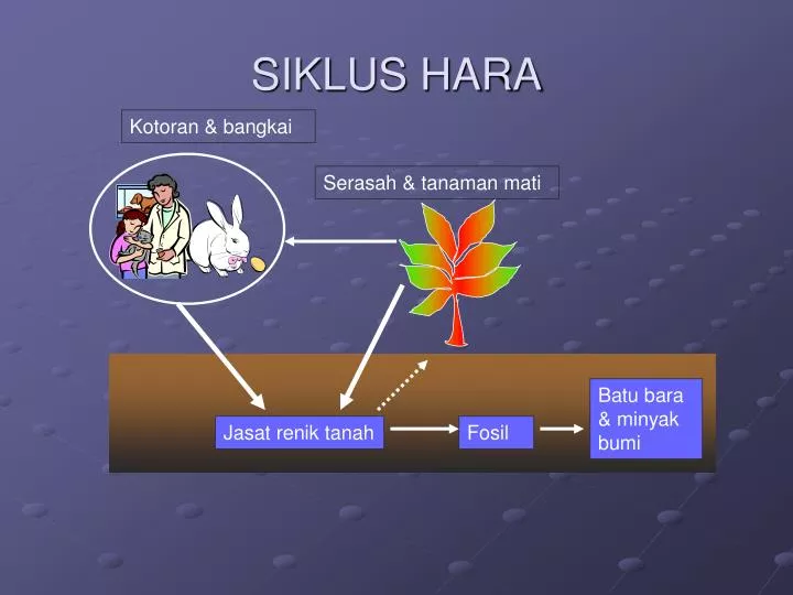 PPT - SIKLUS HARA PowerPoint Presentation, free download - ID:1367976