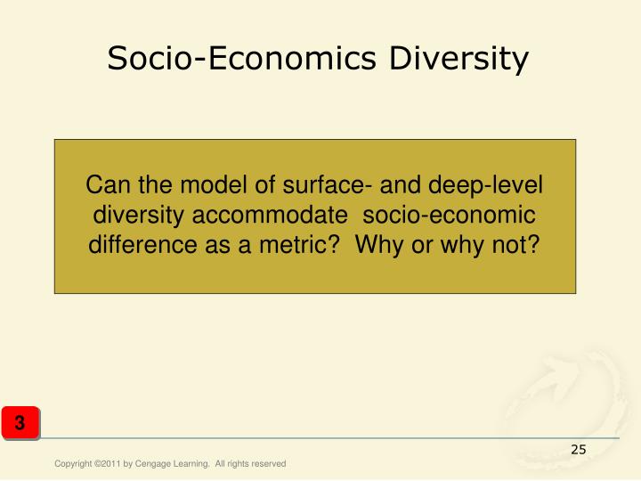 PPT - Chapter 12 Managing Individuals and a Diverse Workforce ...