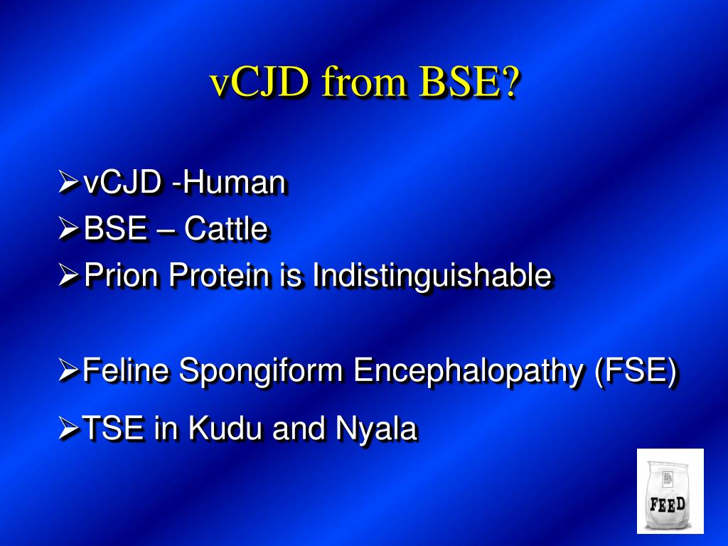 PPT - Transmissible Spongiform Encephalopathies (TSE’s) PowerPoint ...