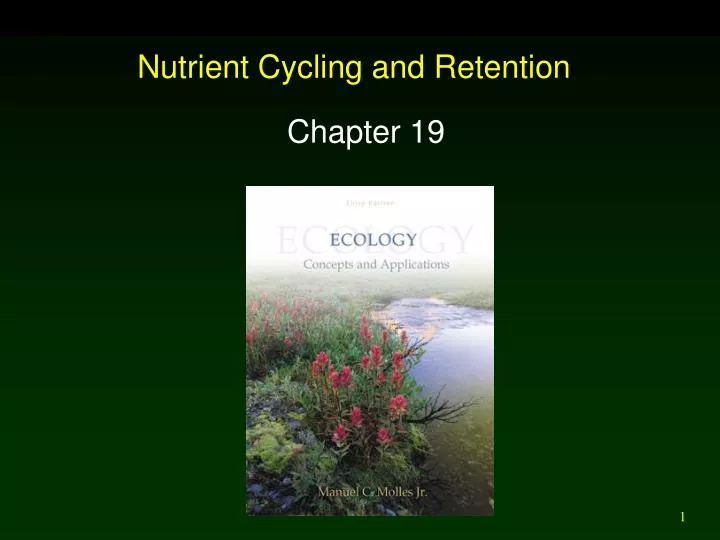 PPT - Nutrient Cycling and Retention PowerPoint Presentation, free ...