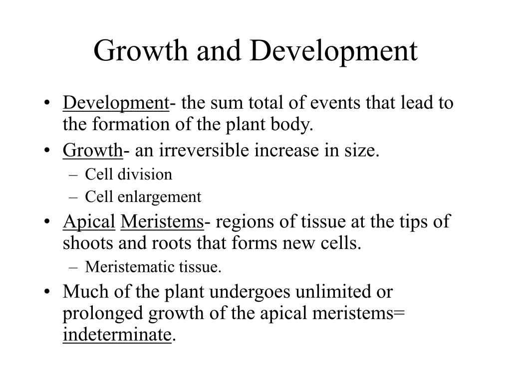 PPT - Cells and Tissues of the Plant Body PowerPoint Presentation, free ...