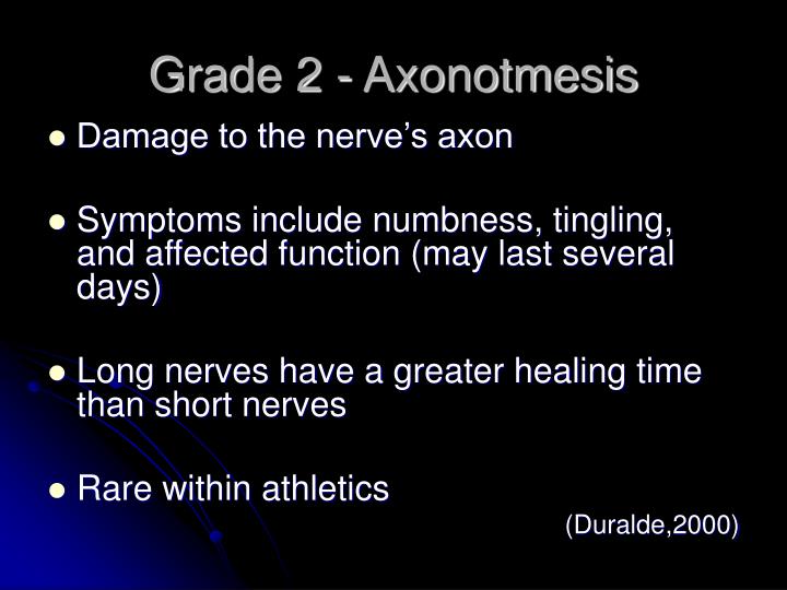 PPT - Anatomy and Evaluation of the Brachial Plexus PowerPoint ...