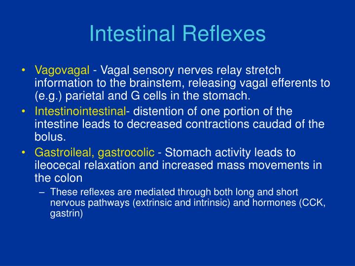 PPT - Gastrointestinal Physiology PowerPoint Presentation - ID:1374488