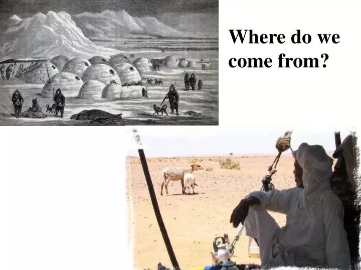 PPT - Where do we come from? PowerPoint Presentation, free download ...