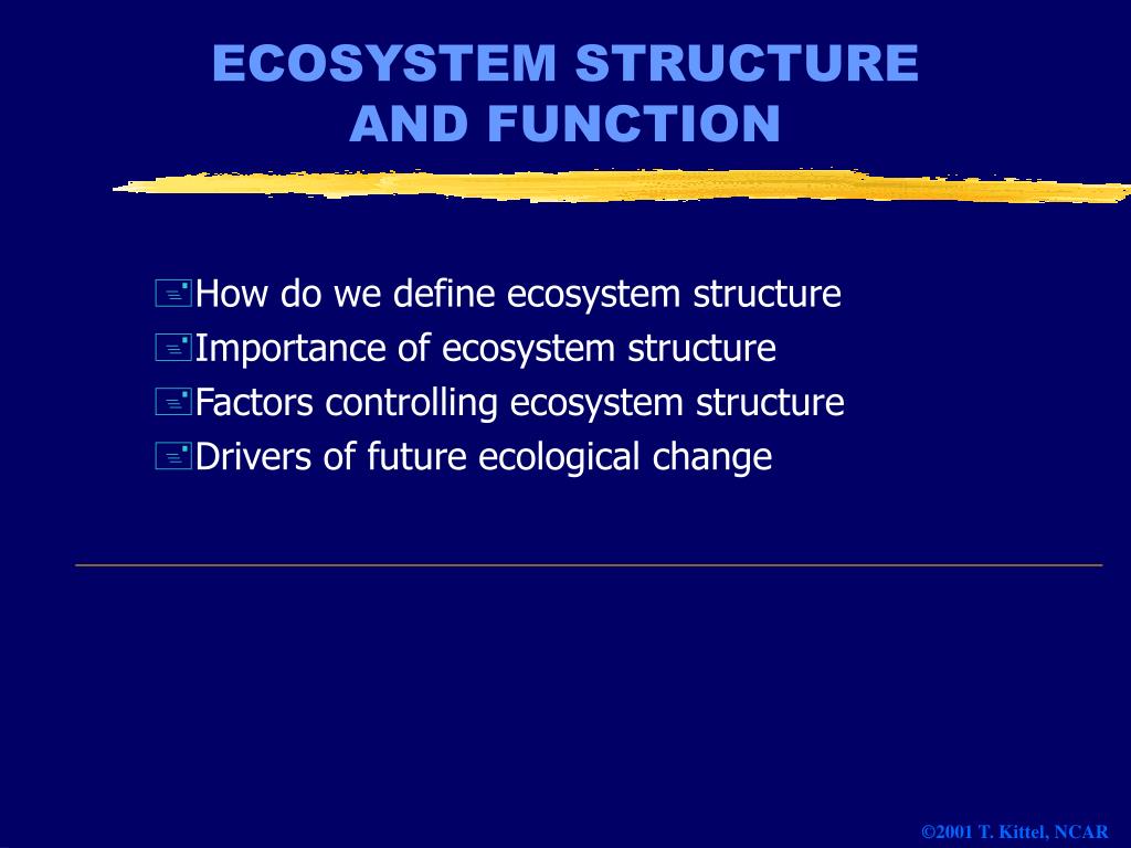 Ppt Ecosystem Structure And Function Powerpoint Presentation Free