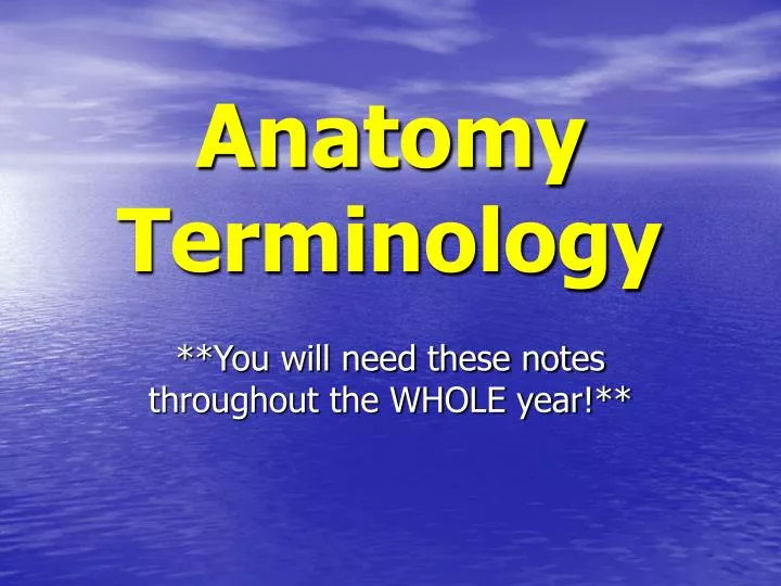 PPT - Anatomy Terminology PowerPoint Presentation, free download - ID ...