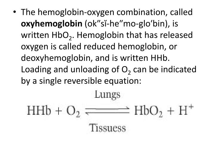 PPT - Respiratory System PowerPoint Presentation - ID:1379341