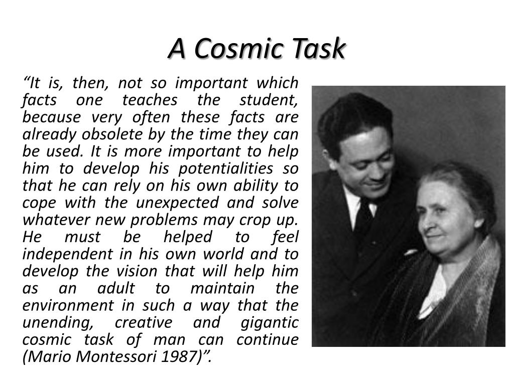PPT - The Role of School in Contemporary Society PowerPoint ...
