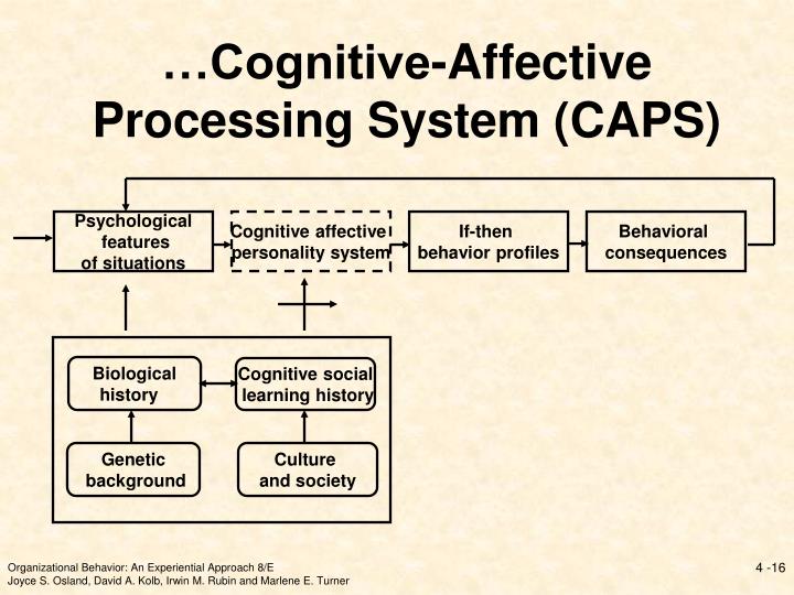 PPT - Chapter 4 Decoding Human Behavior and Personality PowerPoint Presentation - ID:1380025