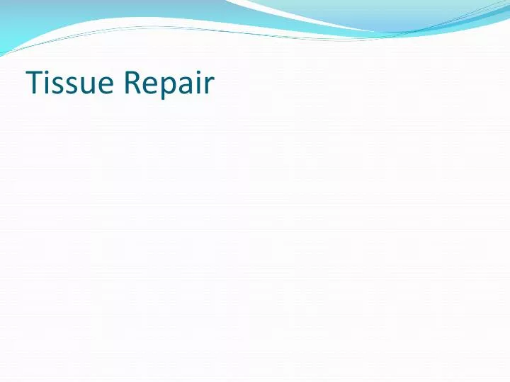 PPT - Tissue Repair PowerPoint Presentation, free download - ID:1380069
