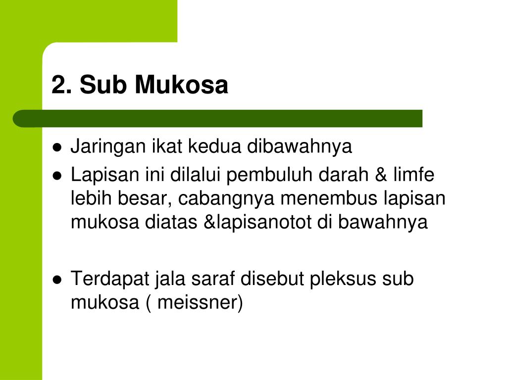 PPT - ANATOMI & FISIO L OGI S I STEM PENCERNAAN PowerPoint Presentation ...