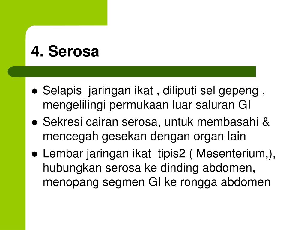 PPT - ANATOMI & FISIO L OGI S I STEM PENCERNAAN PowerPoint Presentation ...