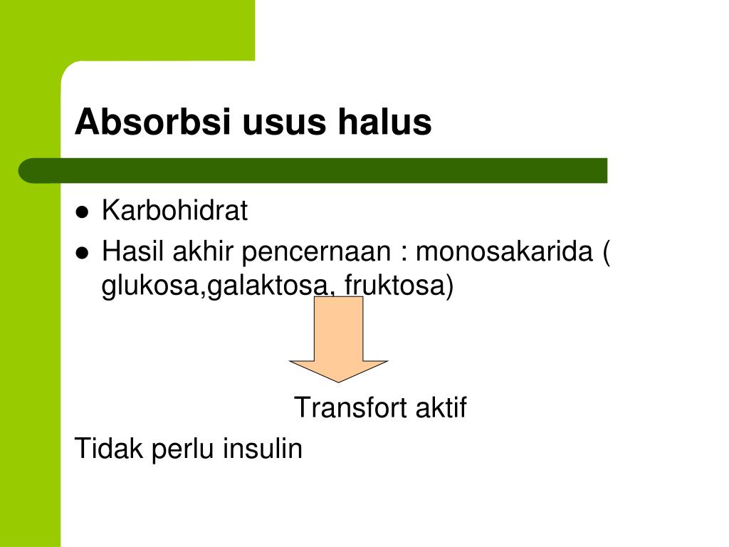 PPT - ANATOMI & FISIO L OGI S I STEM PENCERNAAN PowerPoint Presentation ...