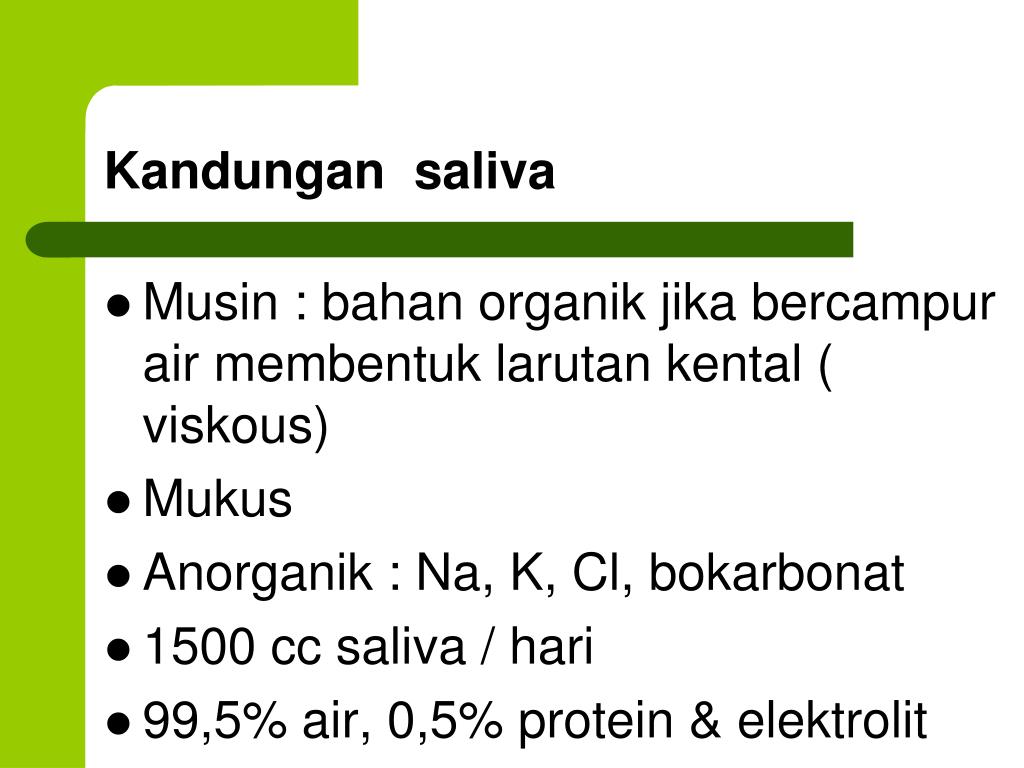 PPT - ANATOMI & FISIO L OGI S I STEM PENCERNAAN PowerPoint Presentation ...
