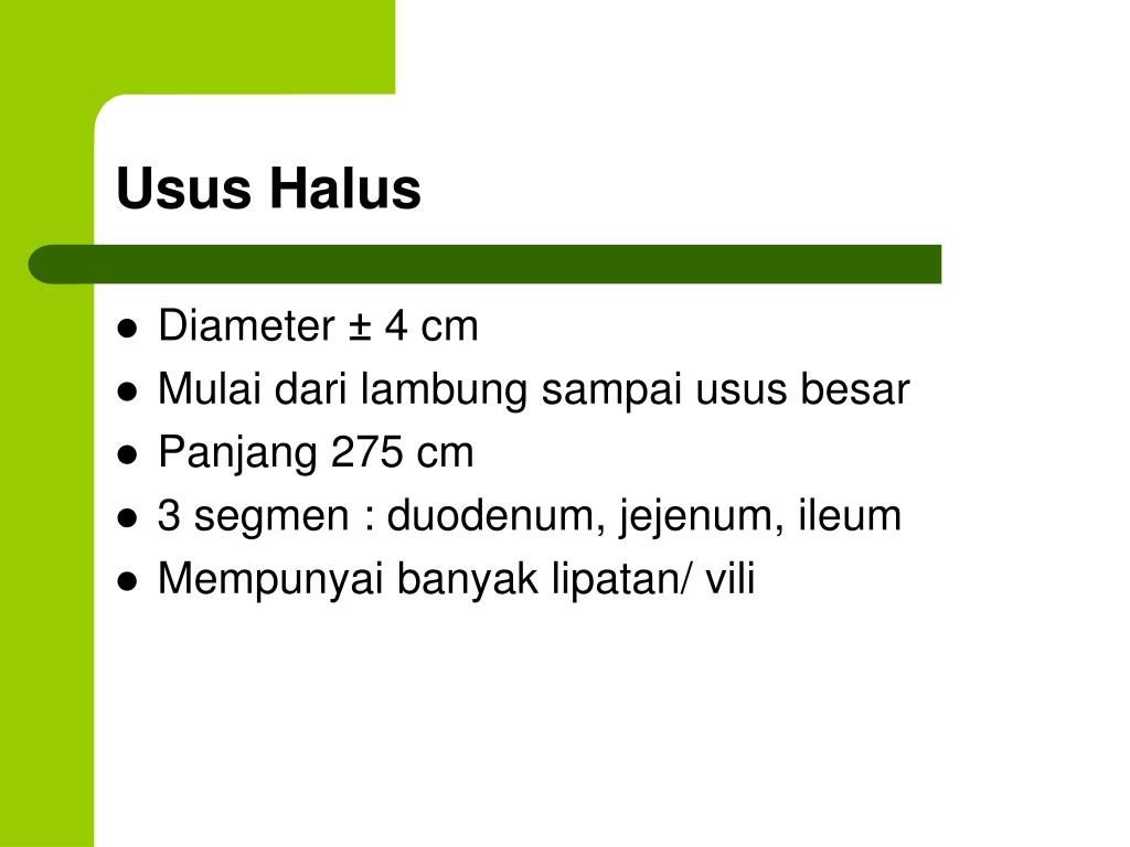 PPT - ANATOMI & FISIO L OGI S I STEM PENCERNAAN PowerPoint Presentation ...