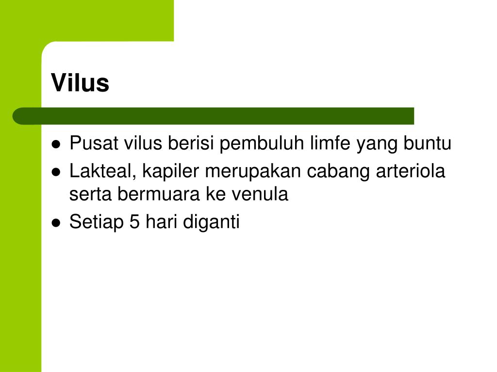 PPT - ANATOMI & FISIO L OGI S I STEM PENCERNAAN PowerPoint Presentation ...