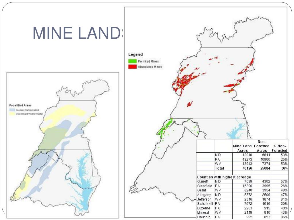 PPT - Chesapeake Bay Watershed Forest Restoration Strategy: Maximizing ...