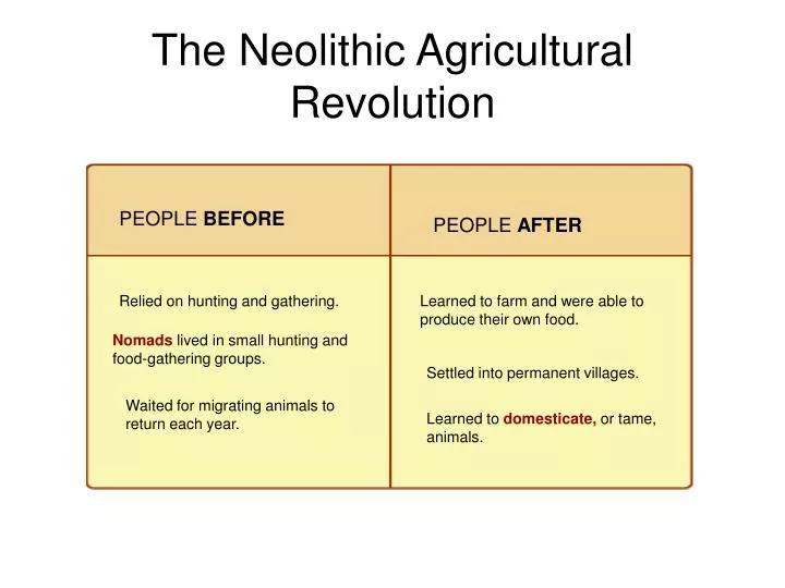 PPT - The Neolithic Agricultural Revolution PowerPoint Presentation ...