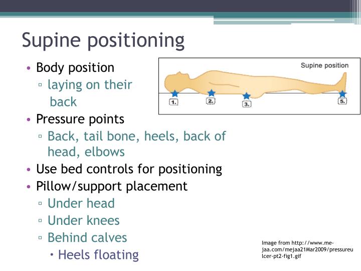 PPT - Back Safety, Safe Patient Handling, & Assisted Mobility Skills ...