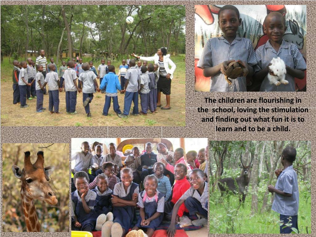 PPT - Nsobe Trust School’s Vision Developing the Nation’s human ...