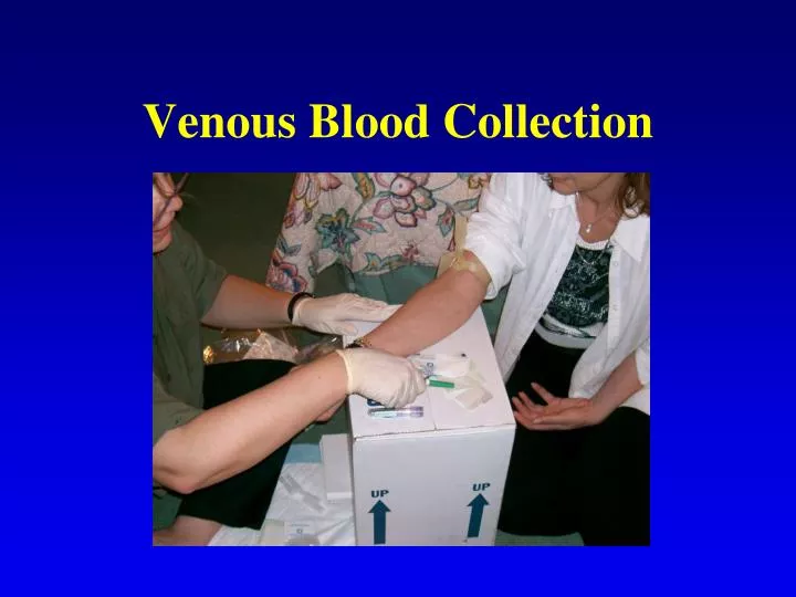 PPT - Venous Blood Collection PowerPoint Presentation, free download ...