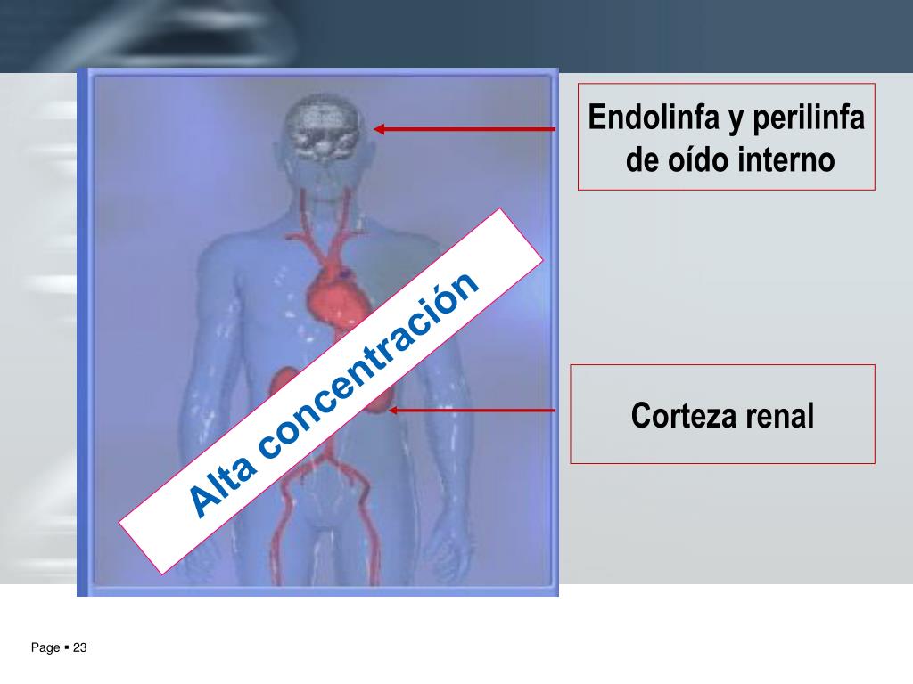 PPT - Departamento de Farmacología, Toxicología y Farmacodependencia ...