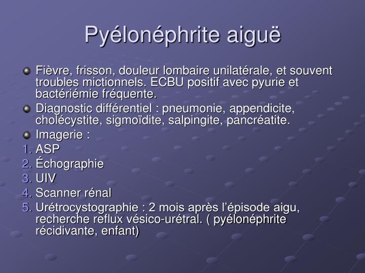 PPT - Infections génito-urinaires PowerPoint Presentation - ID:1386281