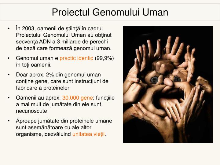 PPT - GENOMUL UMAN Andrei Cojea Ionut Georgescu PowerPoint Presentation ...