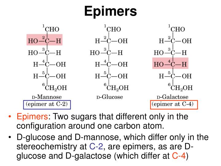PPT - The two families of monosaccharides are aldose and ketoses ...