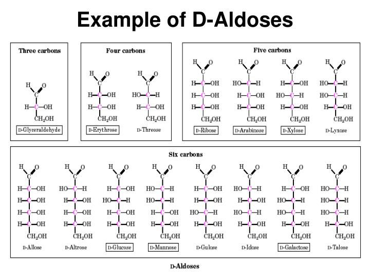 PPT - The two families of monosaccharides are aldose and ketoses ...
