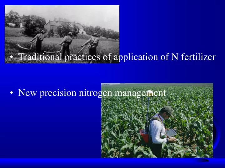 PPT - Traditional practices of application of N fertilizer New ...