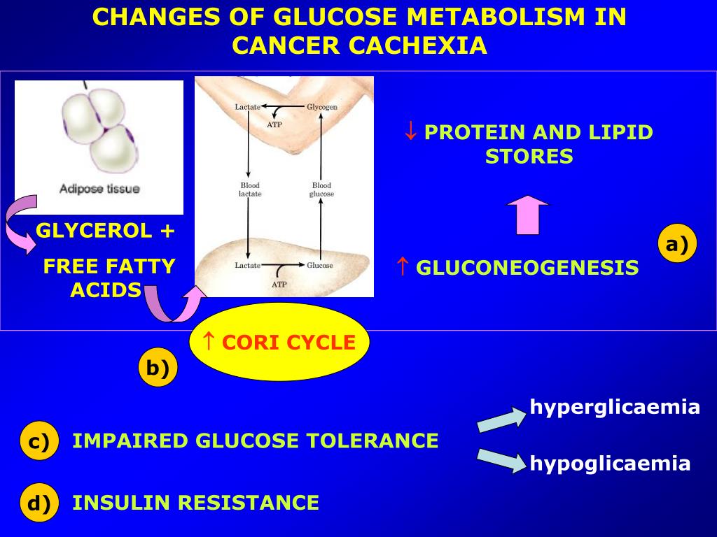 PPT - Cancer Cachexia: Symptoms, Incidence, and Metabolic Changes ...
