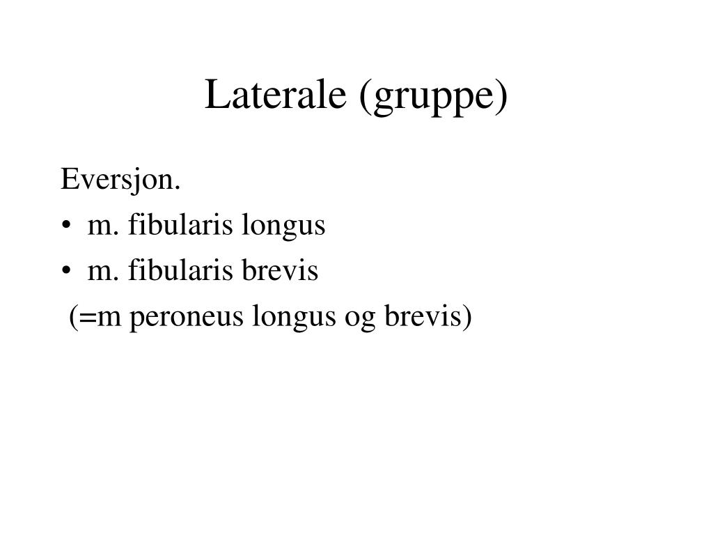 PPT - Du bør ha en modell eller en plansje over tibia, fibula og foten ...